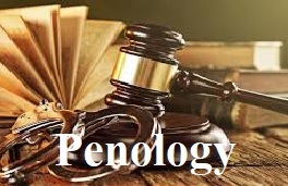 Penology: Scope, Divisions, and Developments